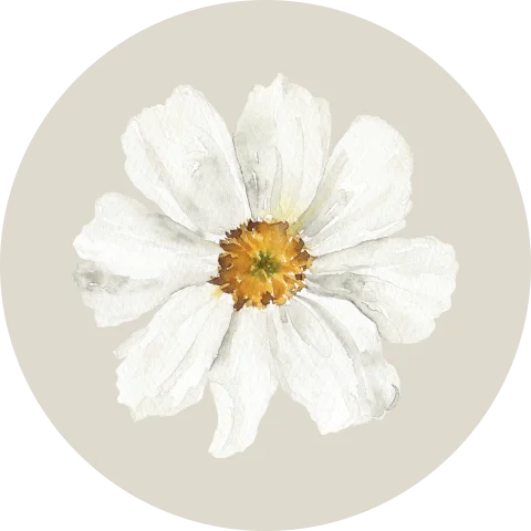 Sluitsticker met witte margriet