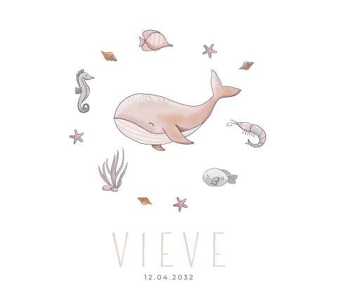 Geboortekaartje meisje walvis getekend