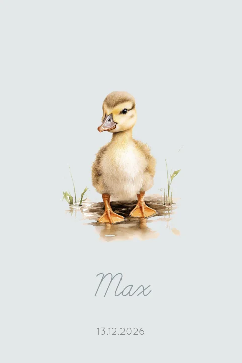 Eendje geboortekaartje met een baby eendje