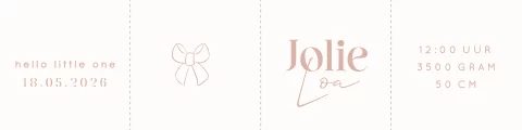 Doopsuiker doosje wit met roze details
