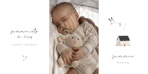 Geboortekaartje drieluik wikkel met ooievaar en huisje